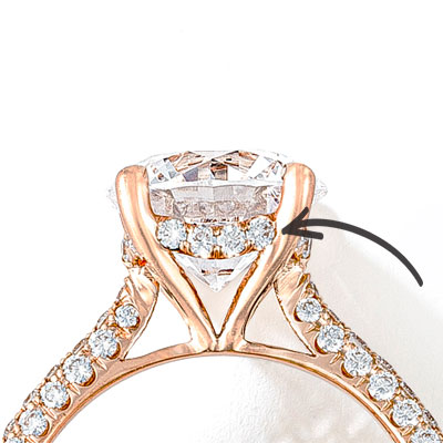 Hidden Engagement Ring Details